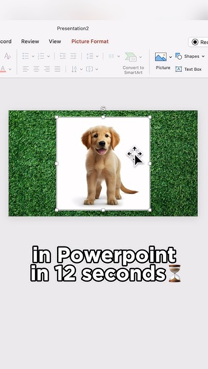 How To Remove Backgrounds in PowerPoint‼️🤔 #powerpoint #presentation #tutorial #students #design ...