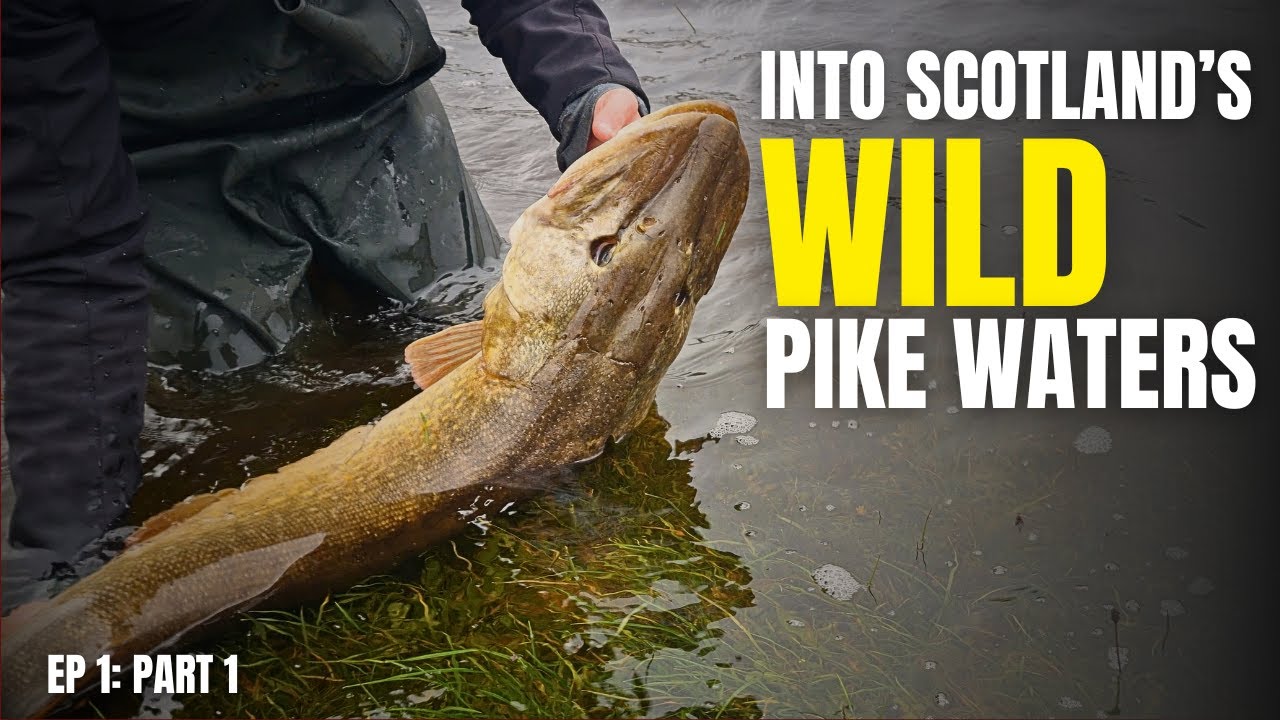 48 Hours of Pike Fishing in Scotland | Hunting Monsters: Ep1 - YouTube