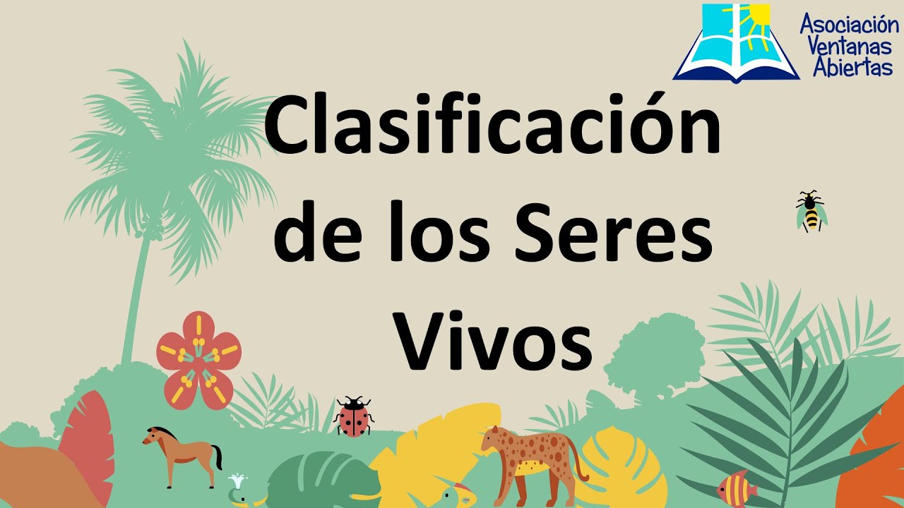 Grado Sexto Actividad Clasificacin De Los Seres Vivos
