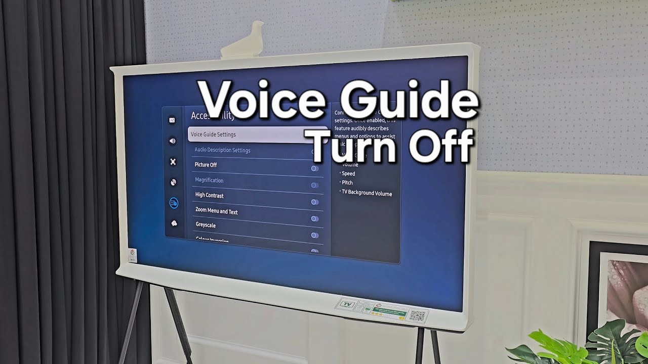 How to turn off Voice Guide Samsung TV - YouTube