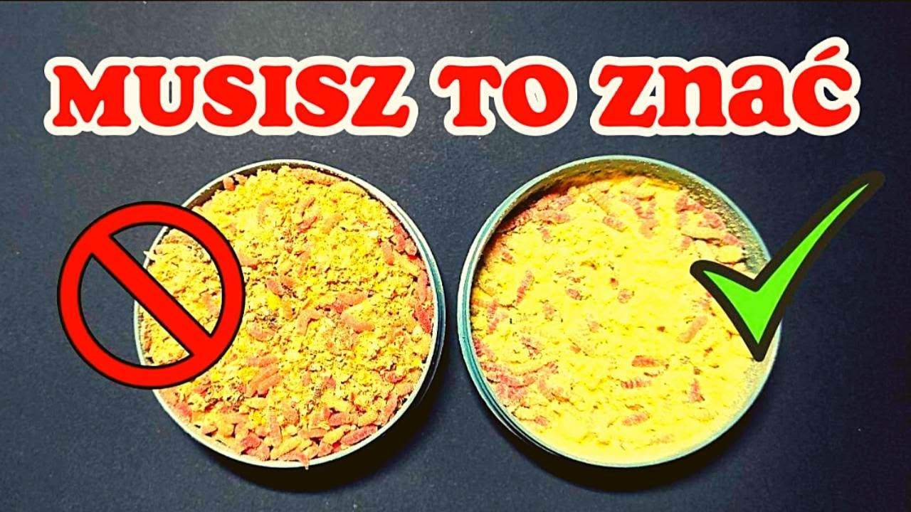 ROBAKI NA RYBY PRAWIDŁOWE PRZYGOTOWANIE... to nie mogło być takie ...