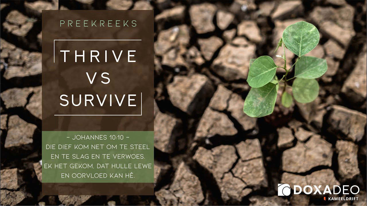 THRIVE VS SURVIVE - deel 1 - YouTube