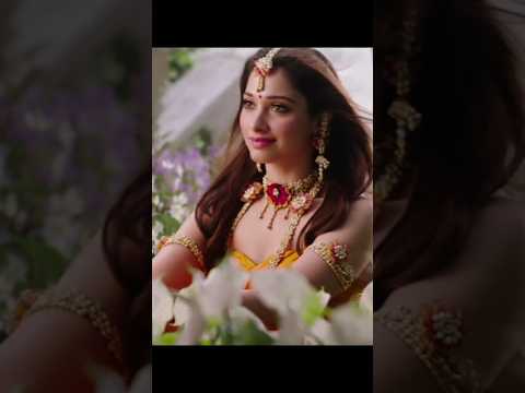 Panchi Bole hai kya piya sunle chalo..