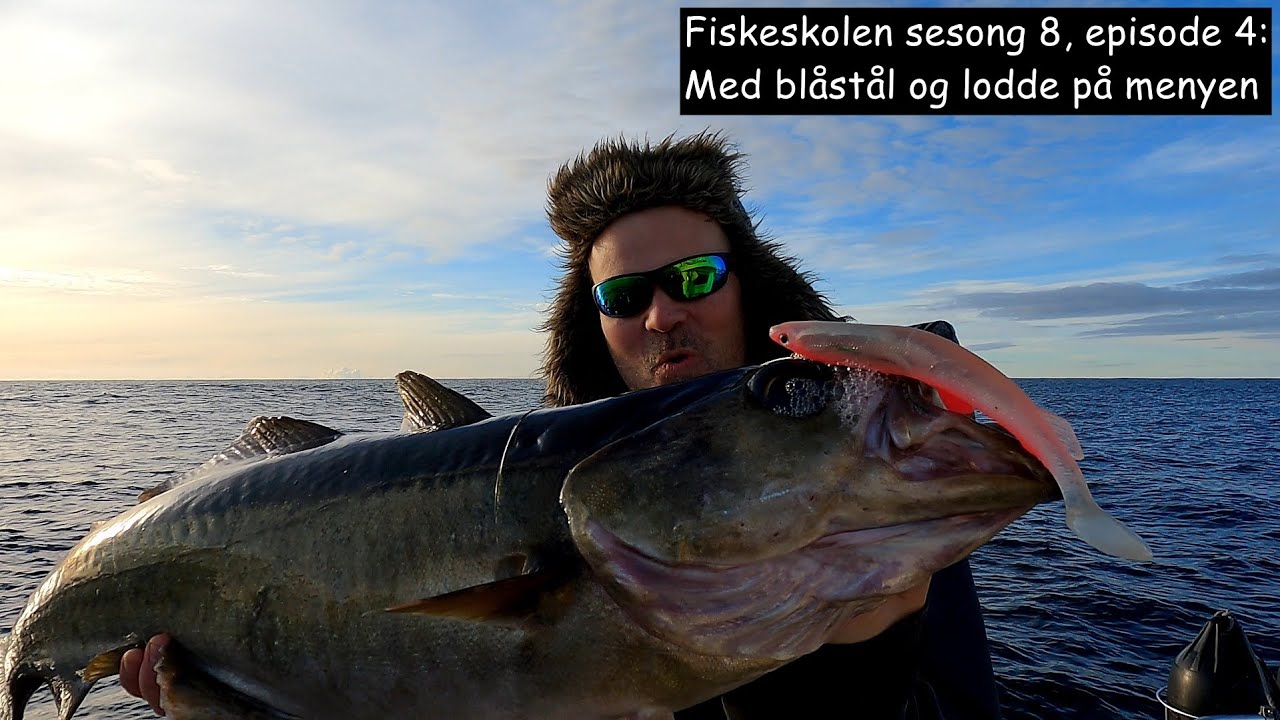 Fiskeskolen sesong 8, episode 4: Med blåstål og lodde på menyen - YouTube