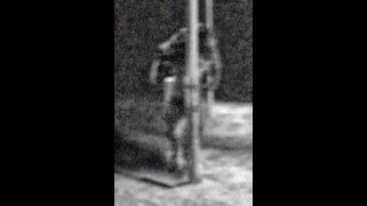 The Dogman Eyewitness Reports And Evidence Staring Into The Abyss - YouTube