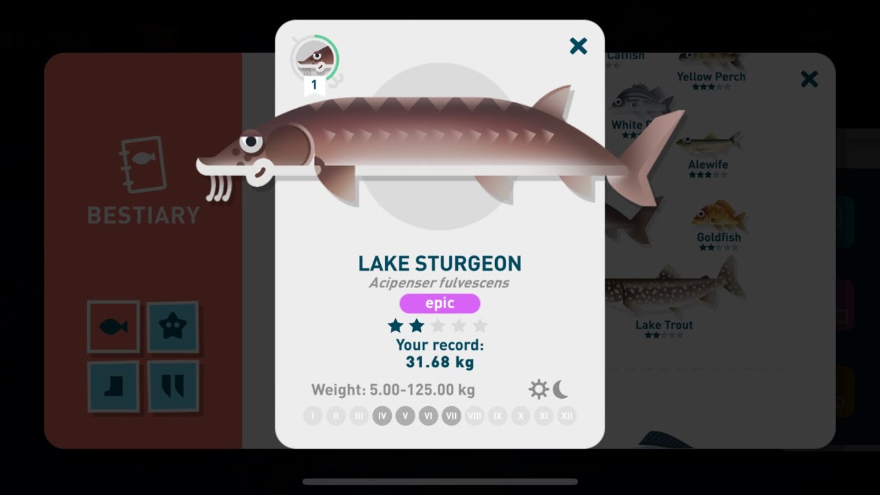 Creatures of the Deep Great Lakes Lake Sturgeon - YouTube