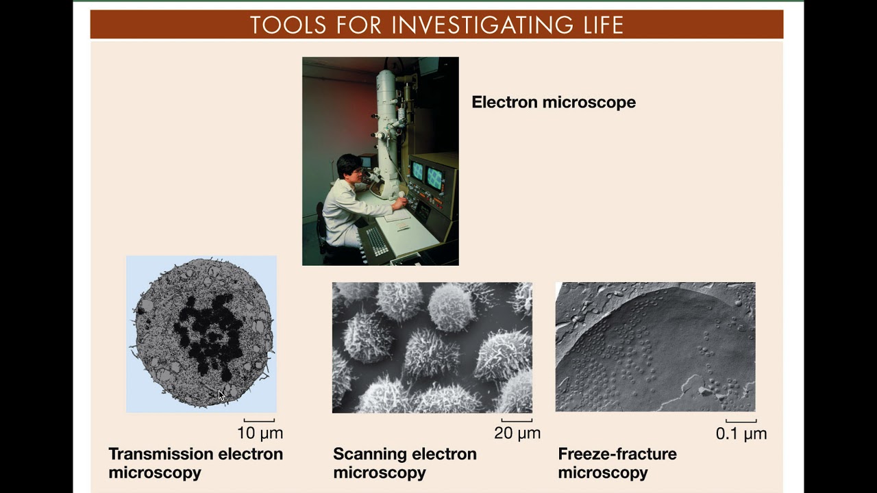 POBI Chapter 5 (Part 1 of 3) - YouTube