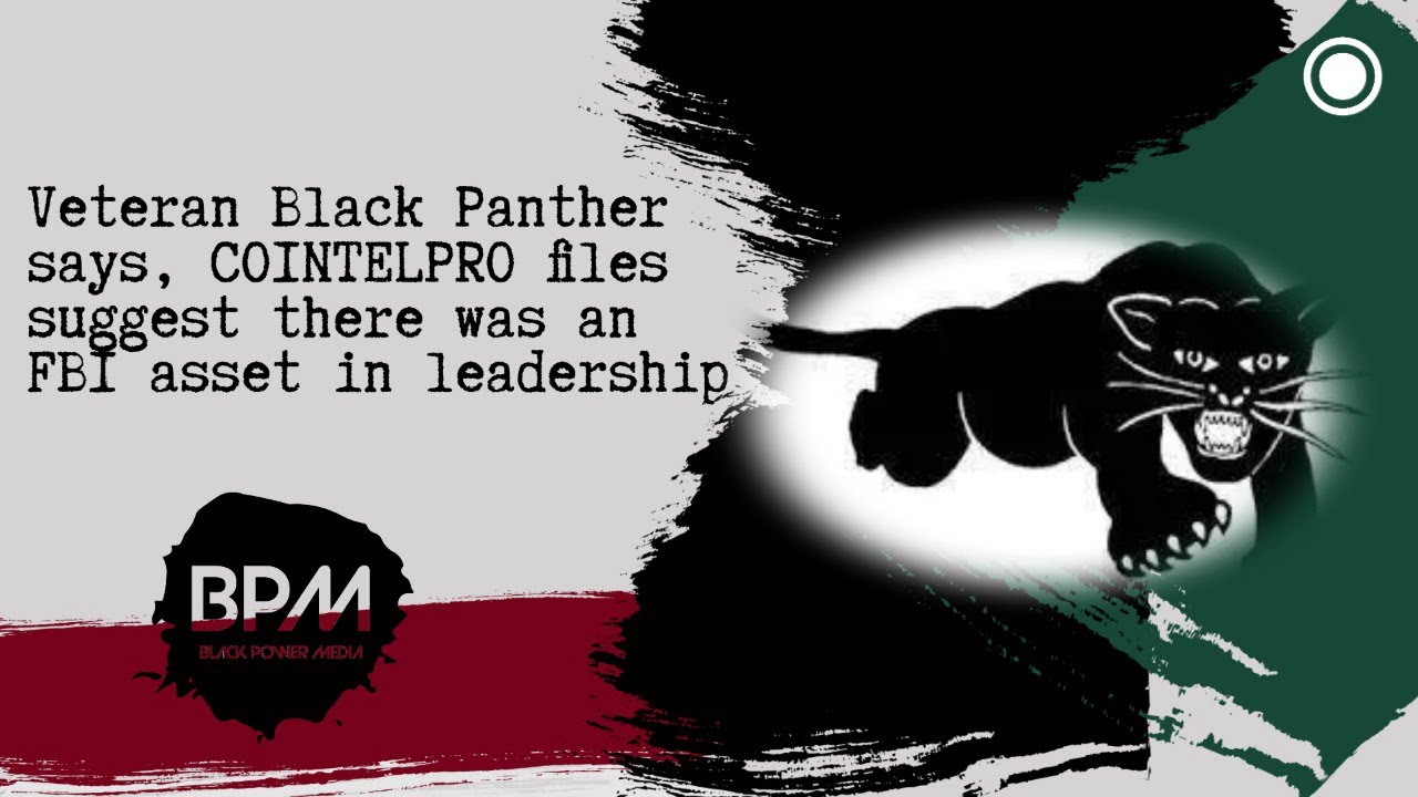 Veteran Black Panther Suggests Prominent BPP Leader May Have Been an ...