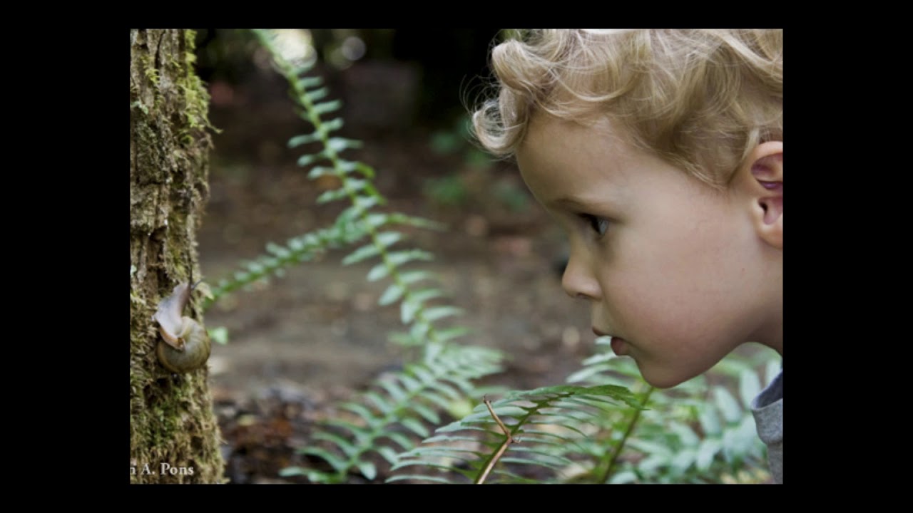 Mindful 1- See, Hear, Feel, Breathe - YouTube