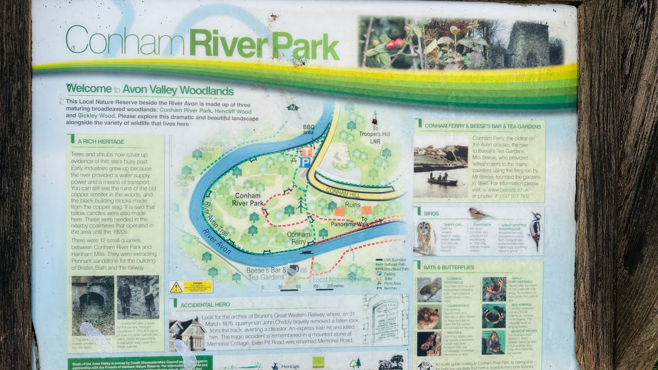 Aerial shot of Conham river park Bristol 31 December 2024 - YouTube