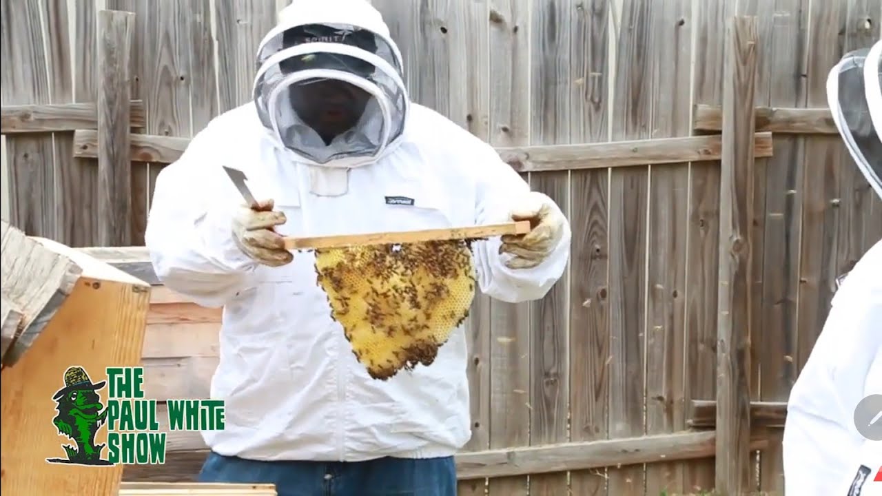 Beekeeping Show and Tell With Paul White and Tinnon Family Farm - YouTube