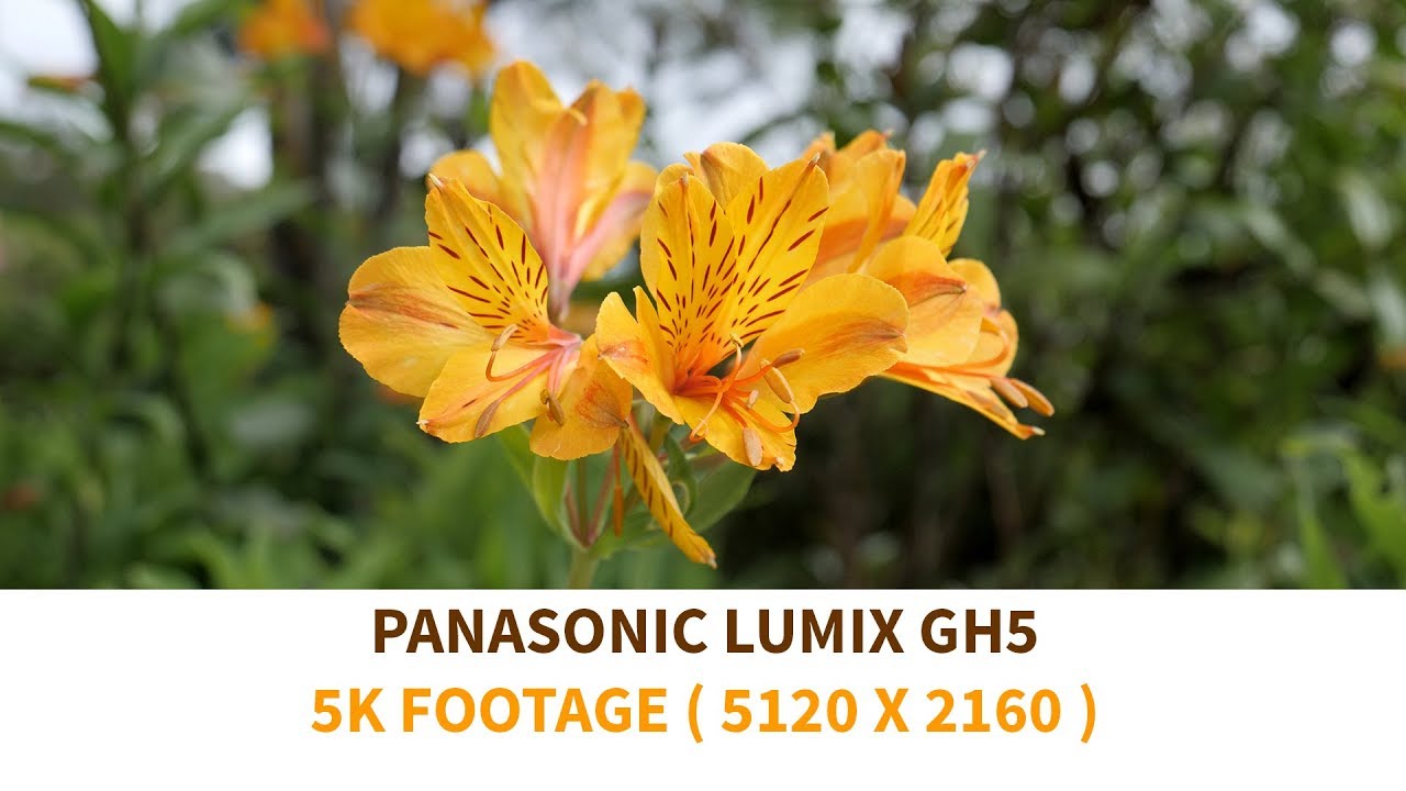 Panasonic Lumix GH5 - 5K Sample Montage Video - YouTube