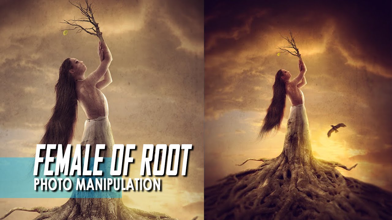 Photoshop - Manipulation - Female Of Root - YouTube