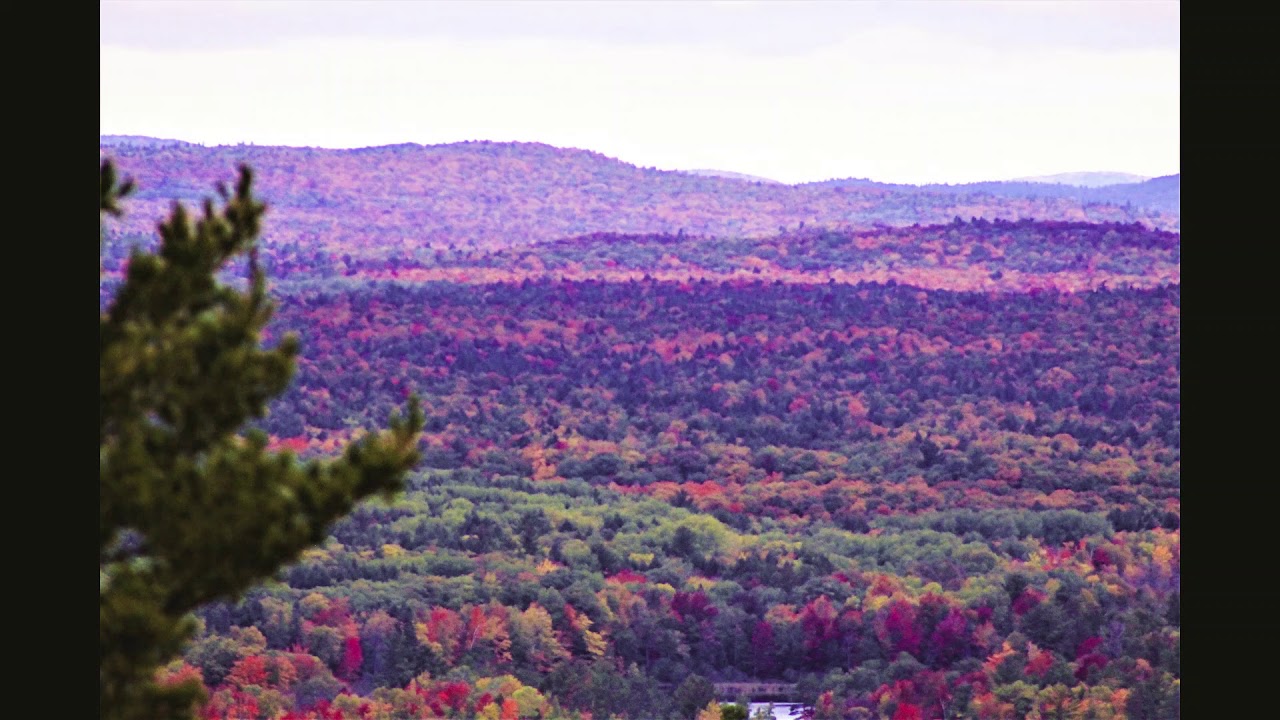 Pure Michigan Fall Colors 2018- UP - YouTube