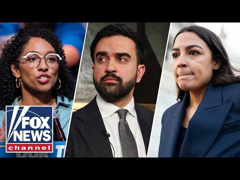 Lifelong Dem TORCHES far-left push for control of Democratic Party