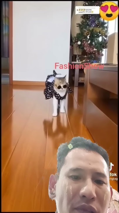 ၂၀၂၄ ဩဂုတ် ၃ Youtube