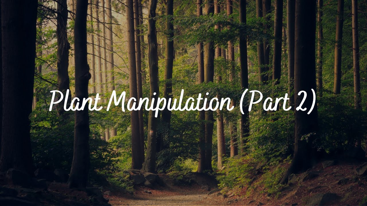 Plant Manipulation (Part 2) - Subliminal Audio - YouTube
