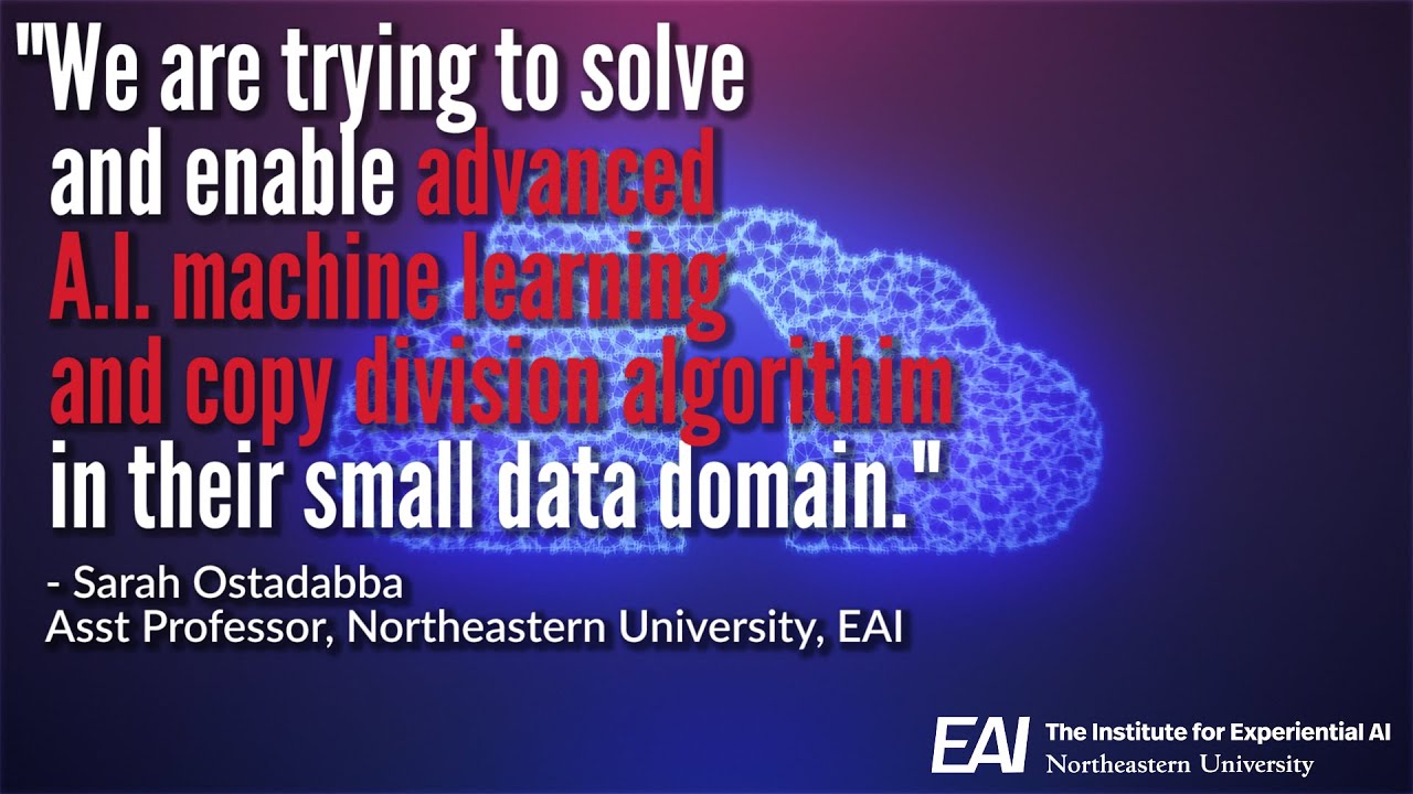 Enabling Advanced AI Algorithms to Solve Visual Perception Problems in ...