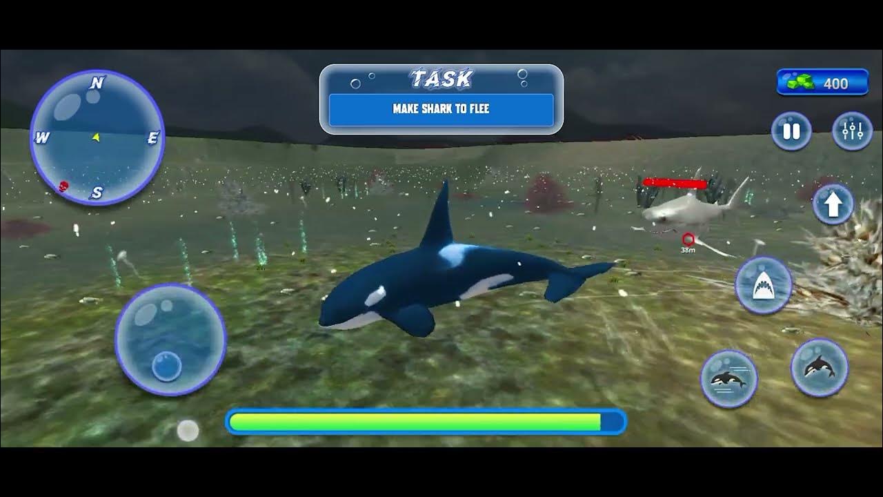Orca Killer Whale Simulator - YouTube