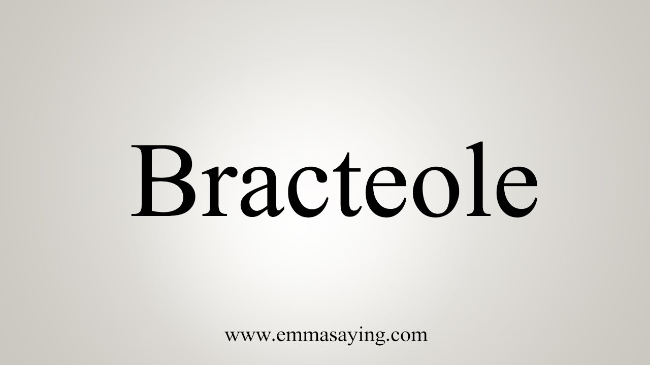 How To Say Bracteole - YouTube