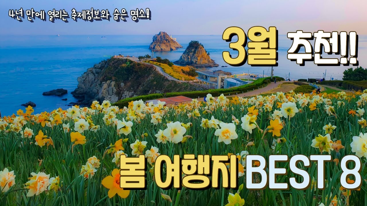 4년 만에 열리는 봄 축제들 꼭 가 봐야 하는 3월 추천 여행지 Best 8 숨은 벚꽃명당 부터 부산 오륙도 수선화 광양 매화축제 구례 산수유축제 진해군항제 까지