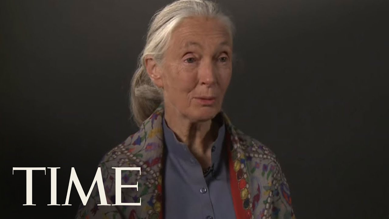 TIME Magazine Interviews: Dr. Jane Goodall - YouTube