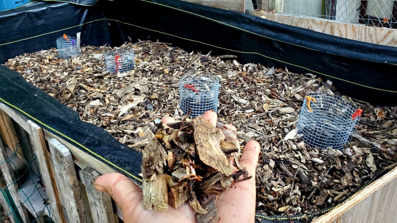 Building A Bioreactor-The 1 Year Composting Experiment - YouTube