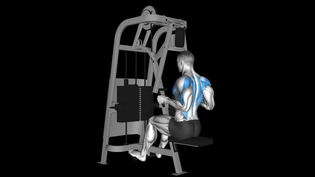 Lever Seated Row version 2 Back زیر بغل نشسته دستگاه - YouTube