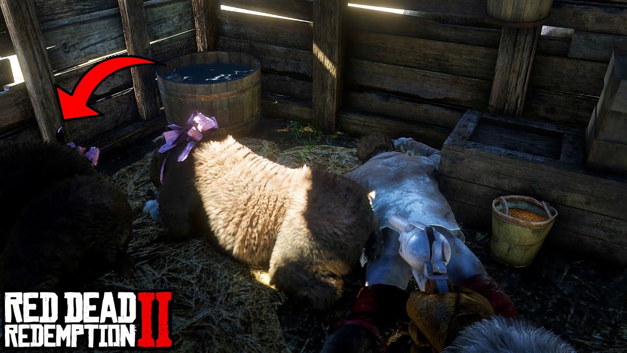 Yes.. Many players missed this secret - RDR2 - YouTube