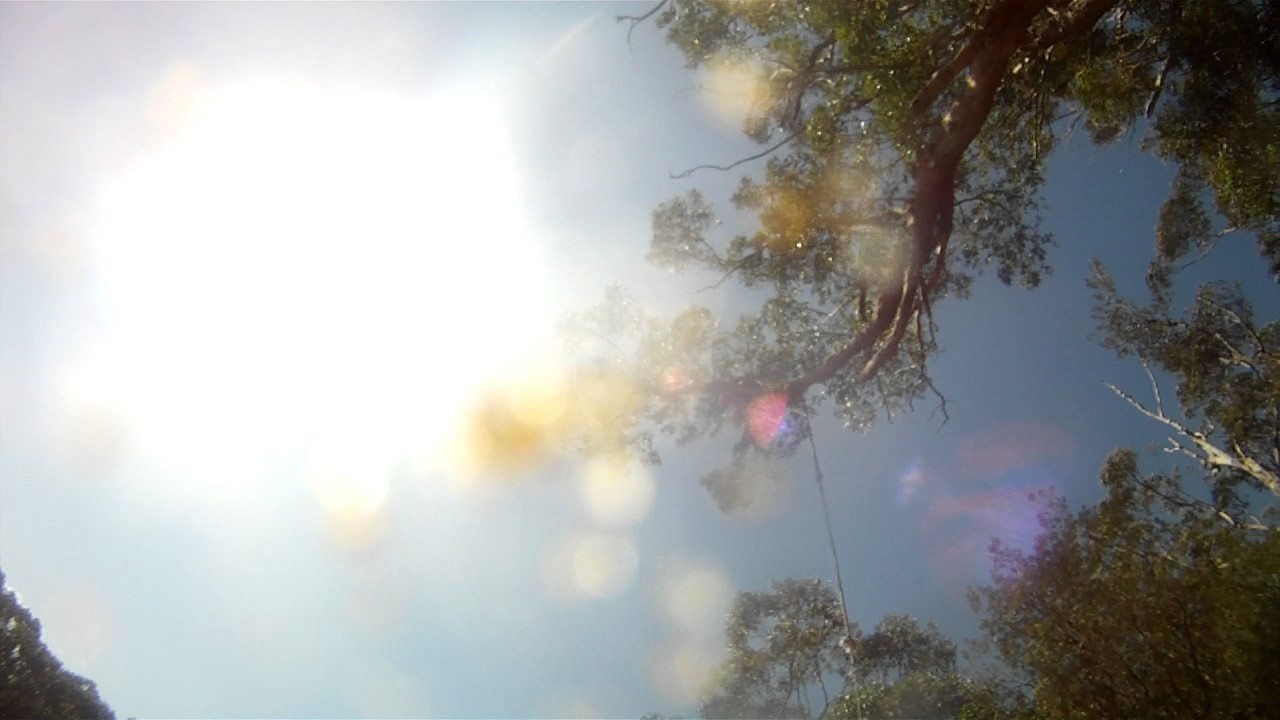 Matt Tree Jump - YouTube