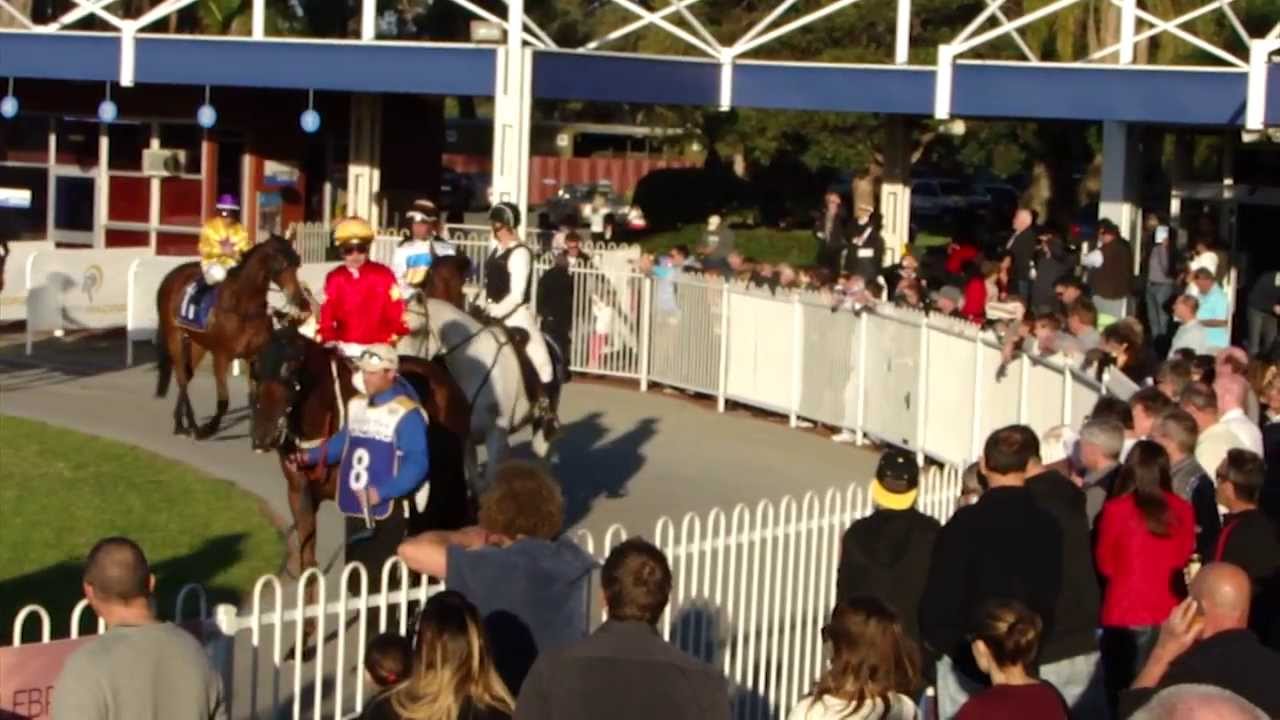 Horse Racing Perth - YouTube