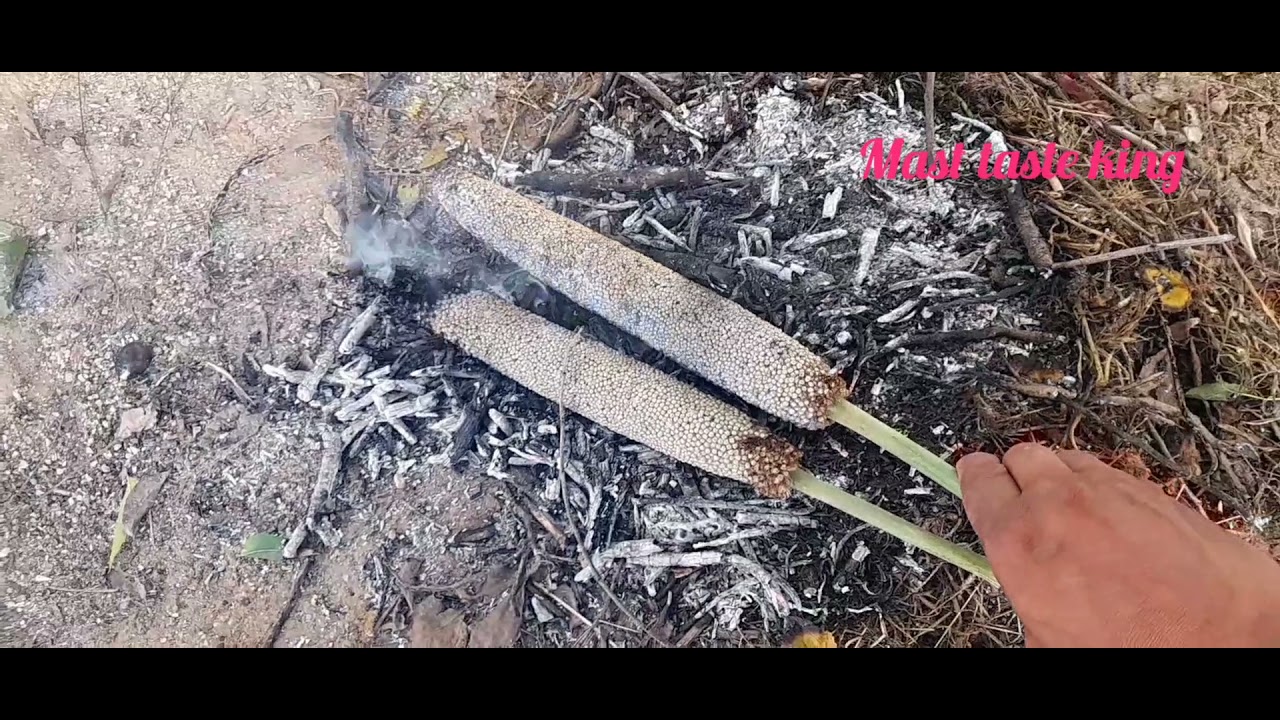 raw millet bran - YouTube