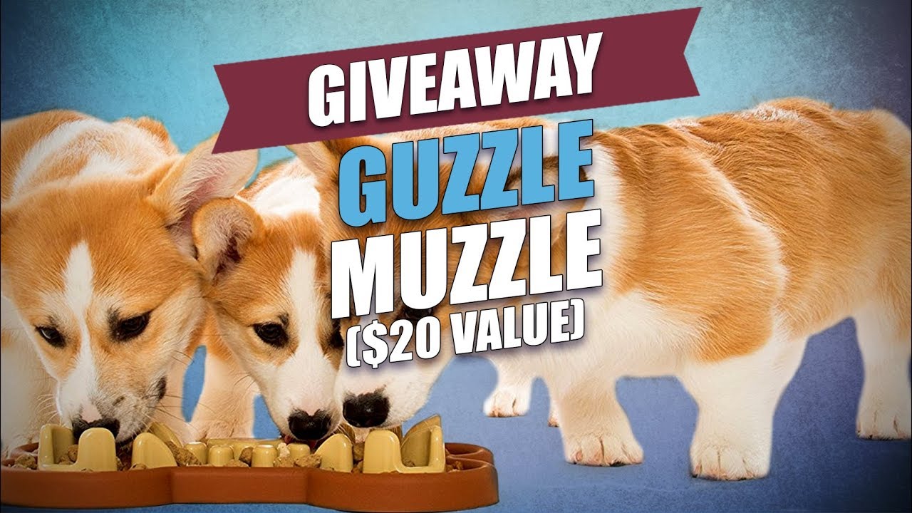 Guzzle Muzzle Giveaway ($20 Value) - YouTube