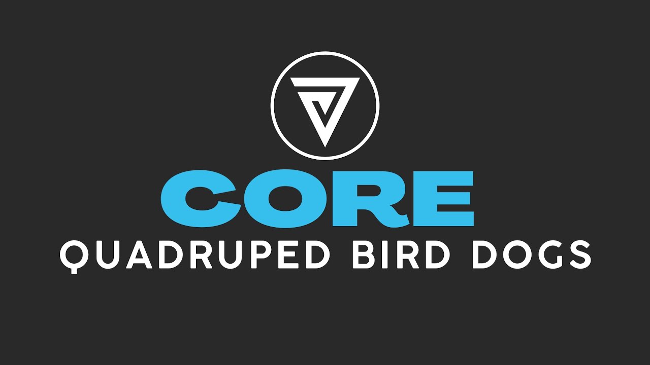 Quadruped Bird Dogs - YouTube
