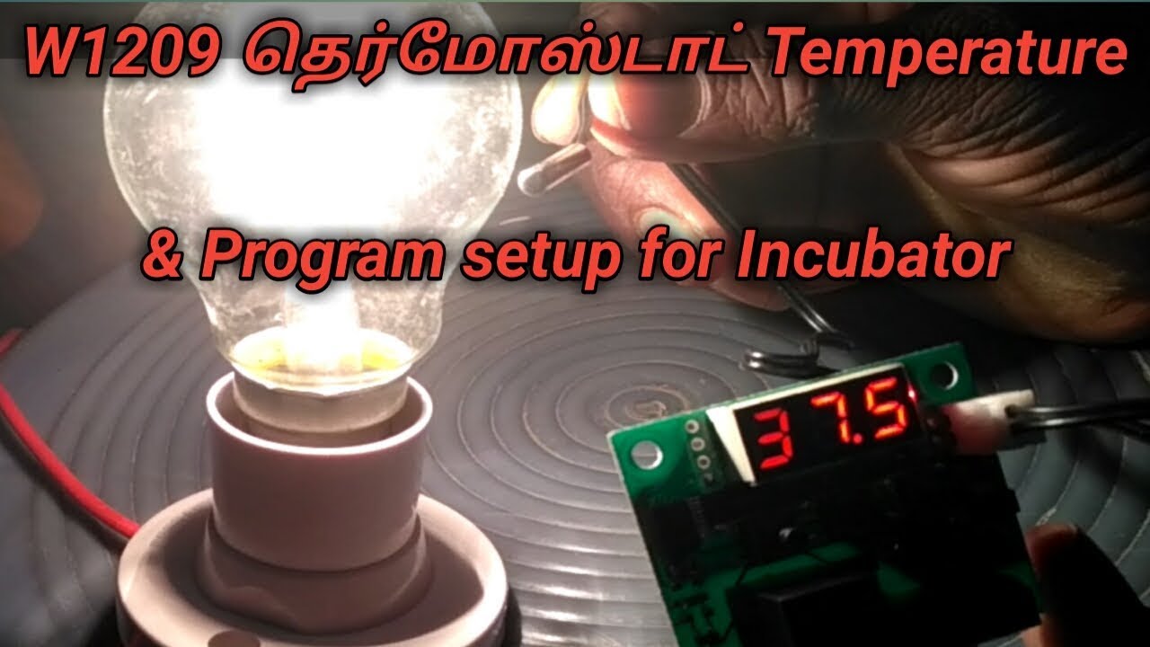 W1209 Thermostat temperature & Program setup - YouTube