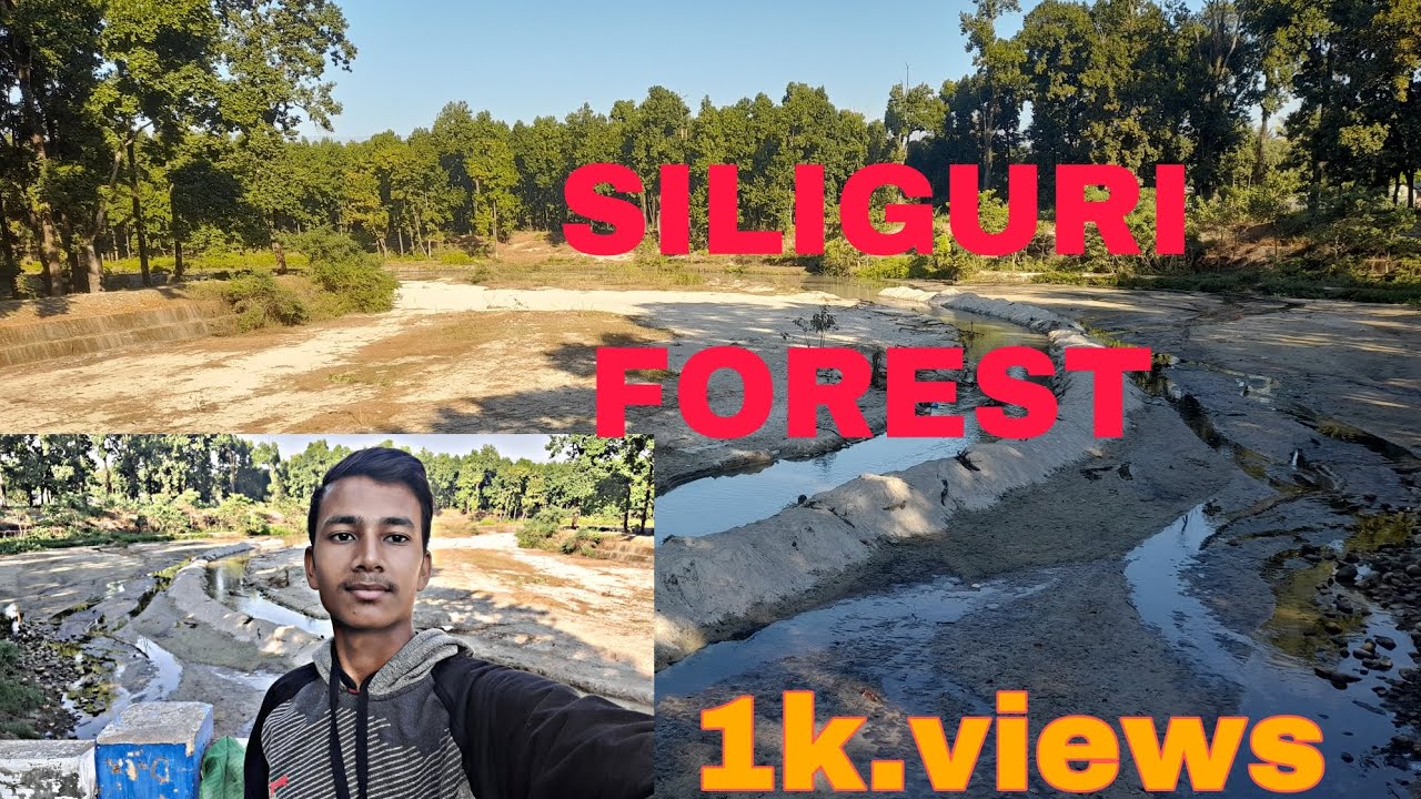Explore Fapri Forest Siliguri llamezing view😊#shuvo #lovebird #Shuvo ...