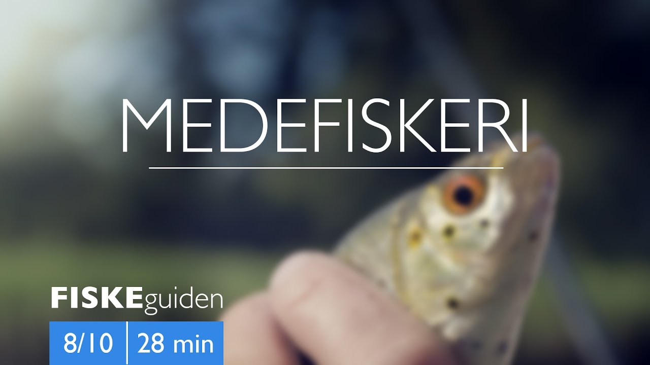 FISKEguiden 8/10: Medefiskeri - YouTube