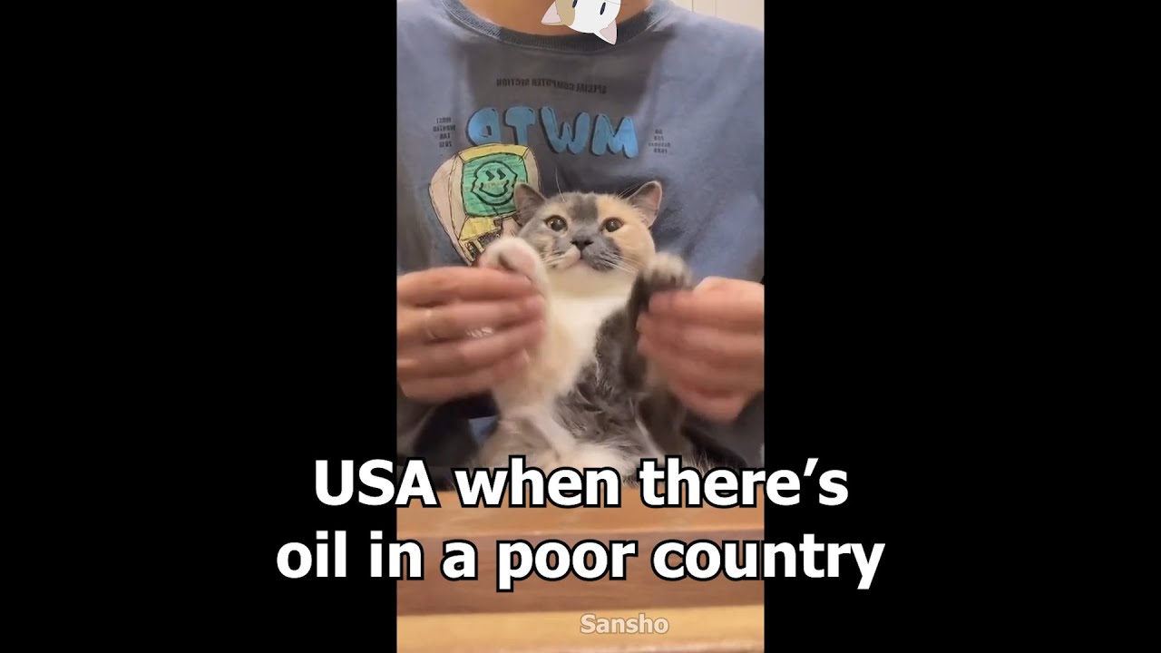 Country Slander with Cats - YouTube