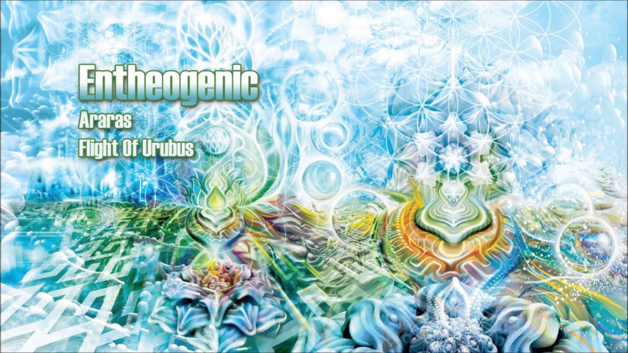 Best Psybient Music - Entheogenic - Araras - YouTube