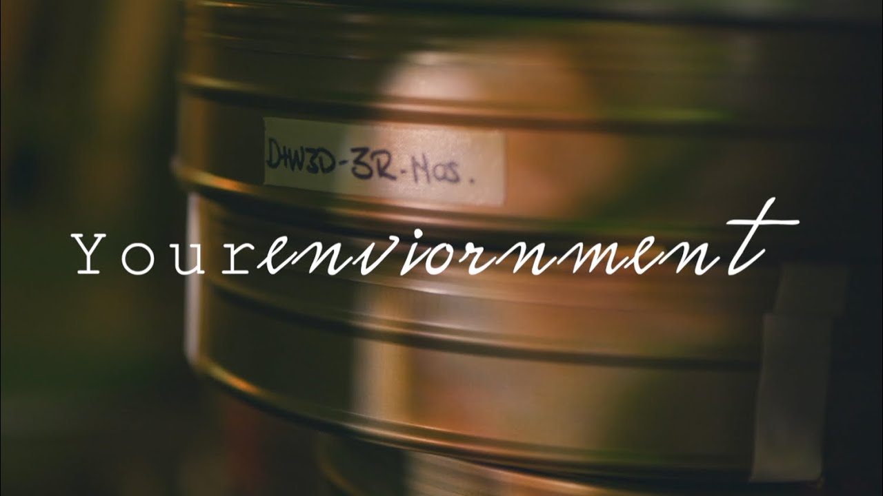 Understanding Our Current Environment - An Inspirational Video - YouTube