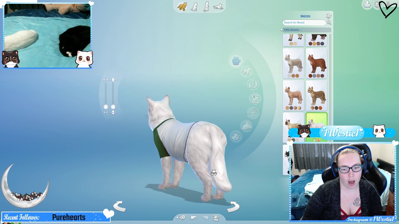 Kitty Poops in Sims 4 - YouTube