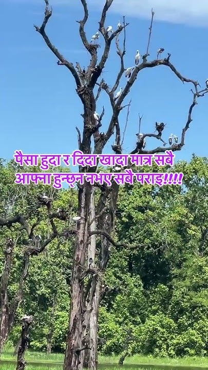 Gban sangarsa ho - YouTube