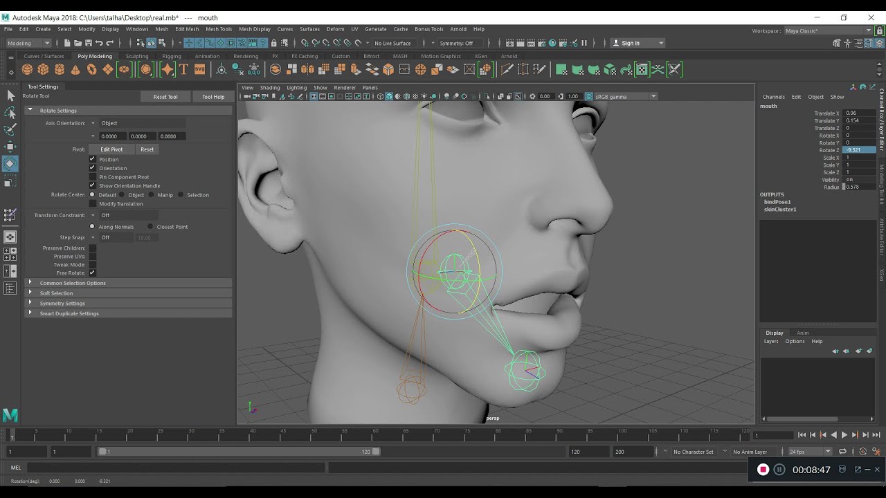 |Maya| Basics of Skin Weight Paints and Rigging in Urdu/Hindi - YouTube