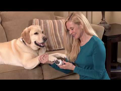 How To Trim Your Pet's Paws at Home - Paw Perfect™ The Safe & Perfect ...