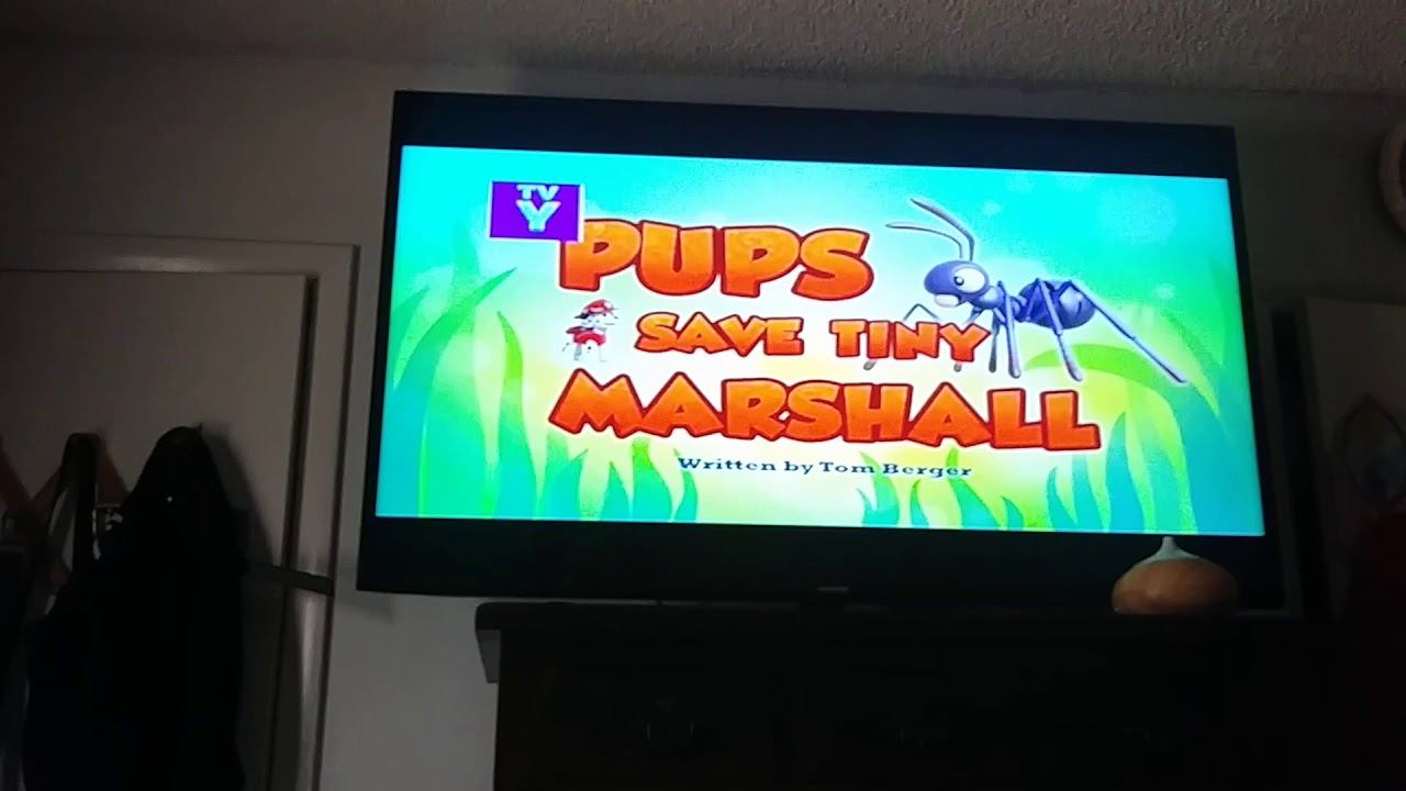Pups Save Tiny Marshall Title Card - YouTube