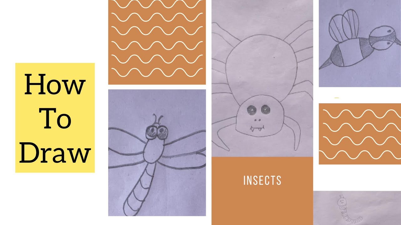 Learn How to Draw a Spider Insect | Step-by-Step Tutorial - YouTube