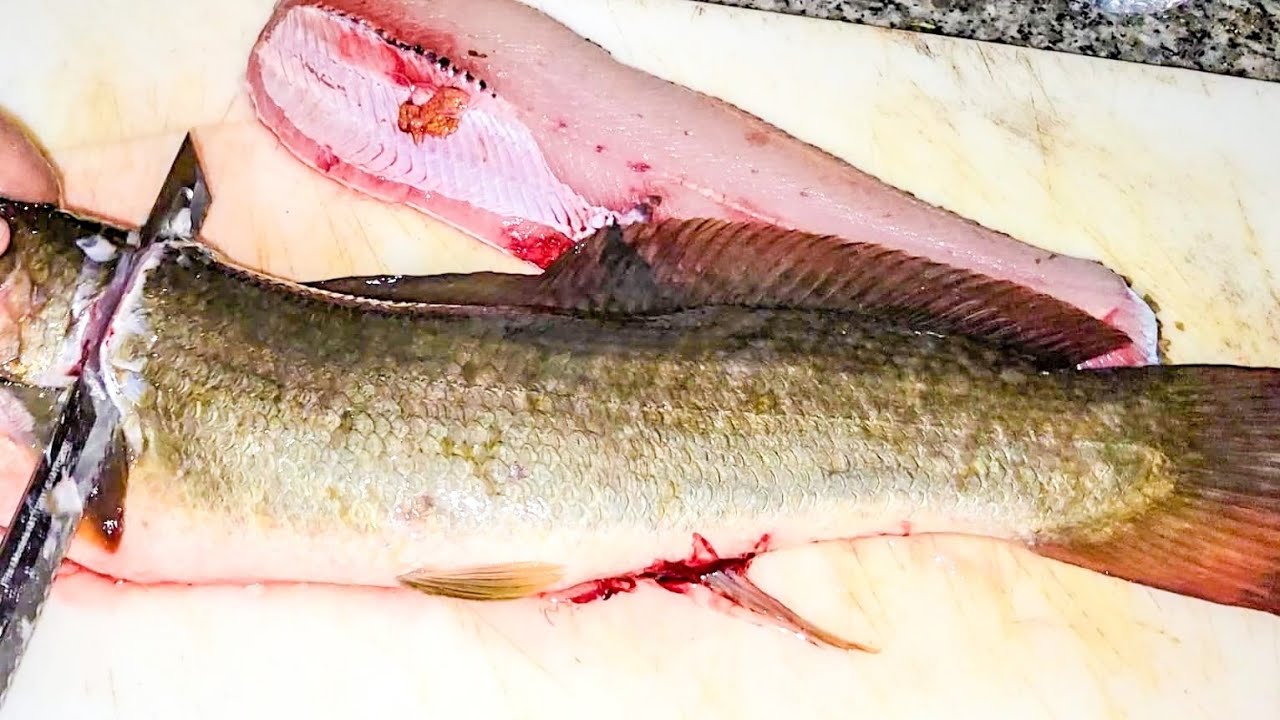 Bowfin Clean and Cook - YouTube