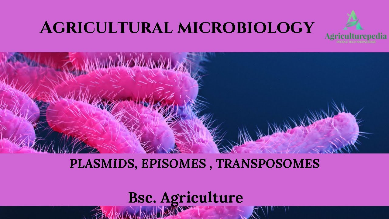 Plasmids, Episomes, Transposons. Best explanation in hindi and english ...