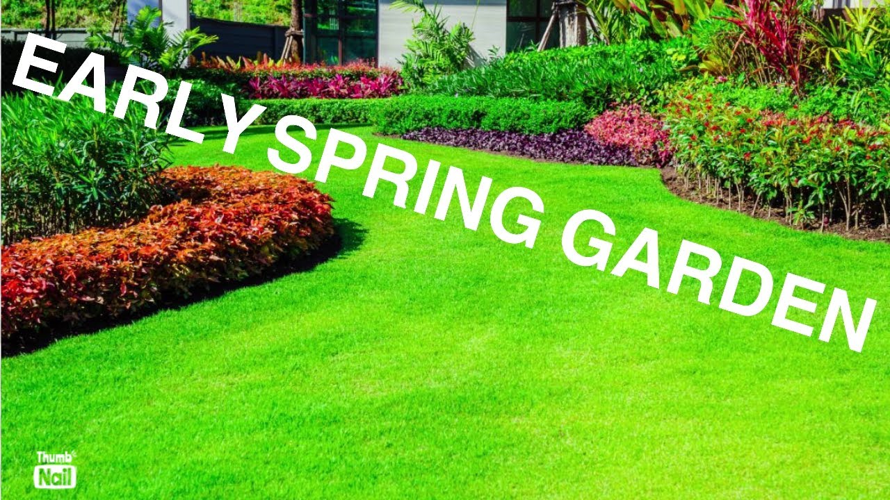 Early spring garden 101 - YouTube