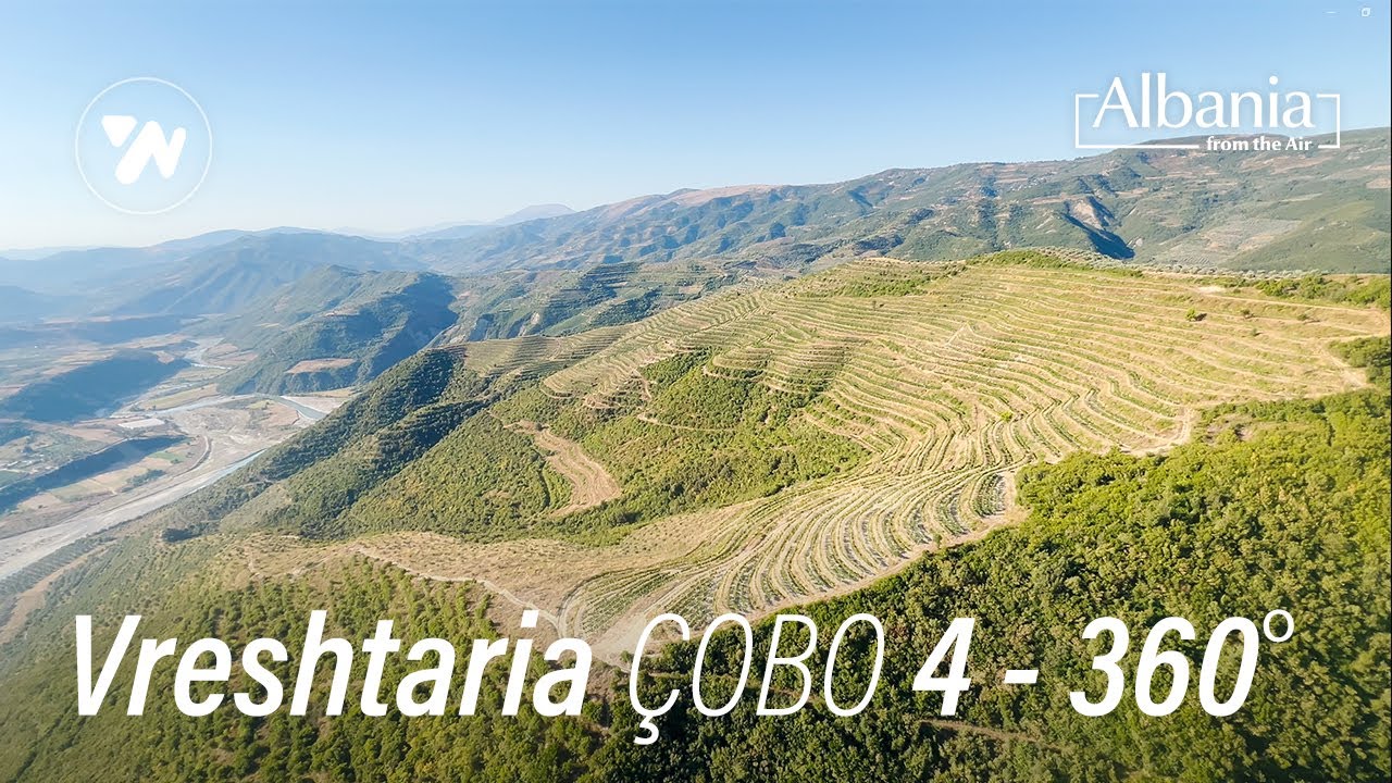Berat - Vreshtaria COBO nga Ajri Video-4, 4K (15.08.2024) - YouTube